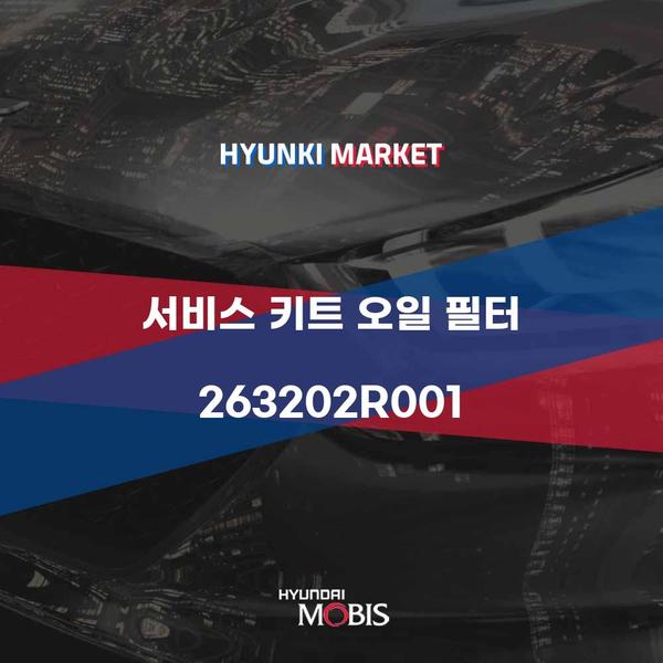 서비스 키트 오일 필터 (263202R001) - SSG.COM