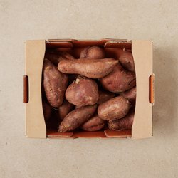 호박 고구마 (2kg) - SSG.COM