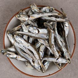 솔치 1.5kg - SSG.COM