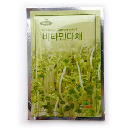 [BFA] 새싹씨앗 비타민채 - SSG.COM