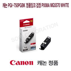 캐논 PGI 750PGBK 정품잉크 검정 Pixma MG5570 White - SSG.COM