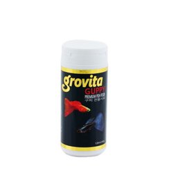그로비타(grovita) 구피 전용사료 65g - SSG.COM