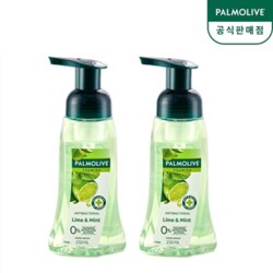콜게이트 팜올리브 거품 손세정제 250ml /핸디워시 2P - SSG.COM