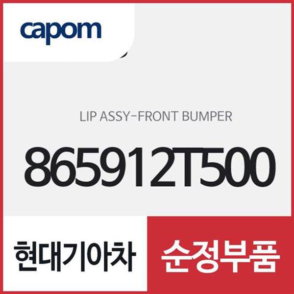 프론트 범퍼 립 (865912T500) K5 - SSG.COM