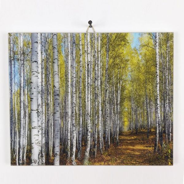 자작나무 숲속풍경 그림액자 아크릴-4030 - SSG.COM