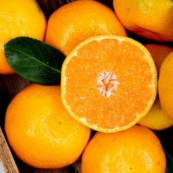 제주 하우스귤 실중량 2.5kg 2S-S - SSG.COM