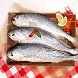 [착한어부]반건조 부세조기 3미 / 25-30cm - SSG.COM