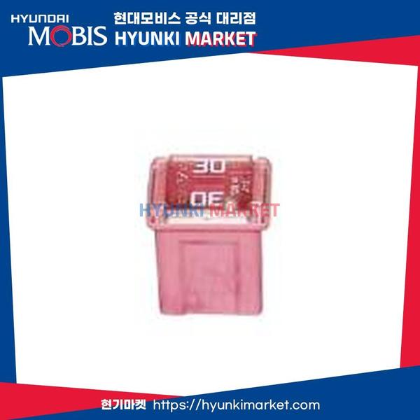 로우 프로파일 30A 퓨즈 (1879001123) - SSG.COM