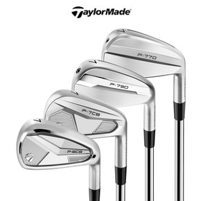 아이언 | 골프클럽 | 골프 - 신세계몰