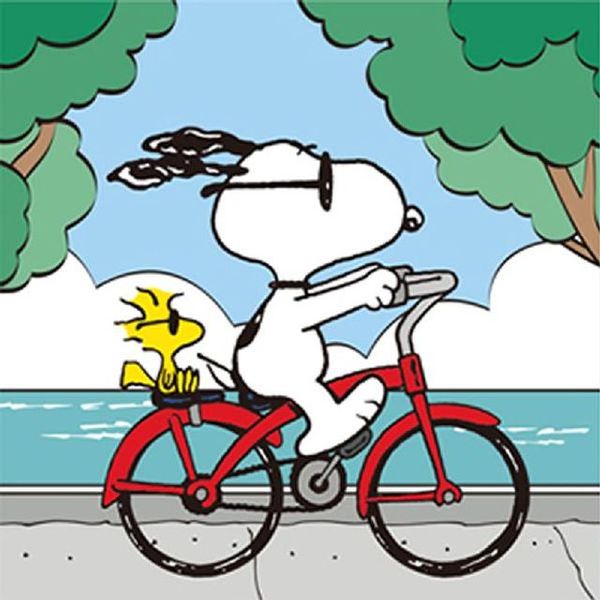 (SM)DIY 그리기 페인팅 피너츠 스누피 자전거 25X25 - SSG.COM