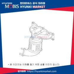 탱크 우레아 (285105M001-DS) - SSG.COM