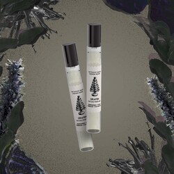 타투 퍼퓸 원우드 롤온 11ml - SSG.COM