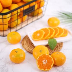 [유명산지] 새콤달콤 제주농협 타이벡 감귤 5kg 2S-L - SSG.COM