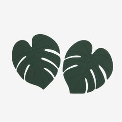 실리콘 코스터 2P - 01 몬스테라 - SSG.COM