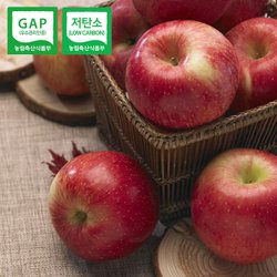 (GAP 인증) 저탄소 사과 (3입팩)x3개 - SSG.COM